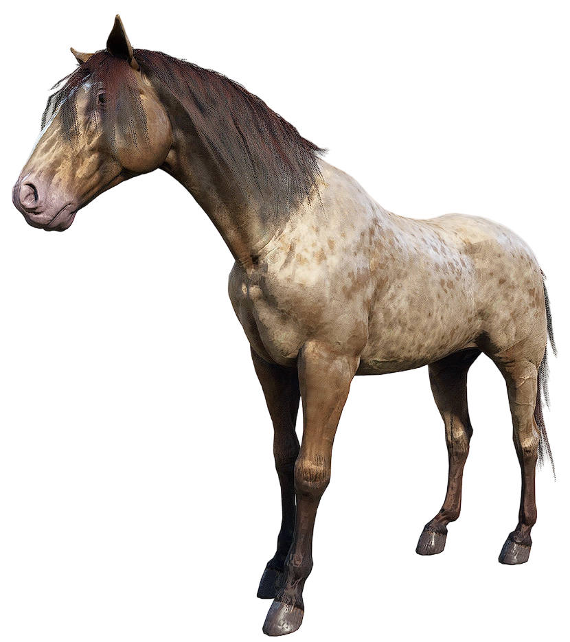 RDR2 En İyi Atlar Hangisi?