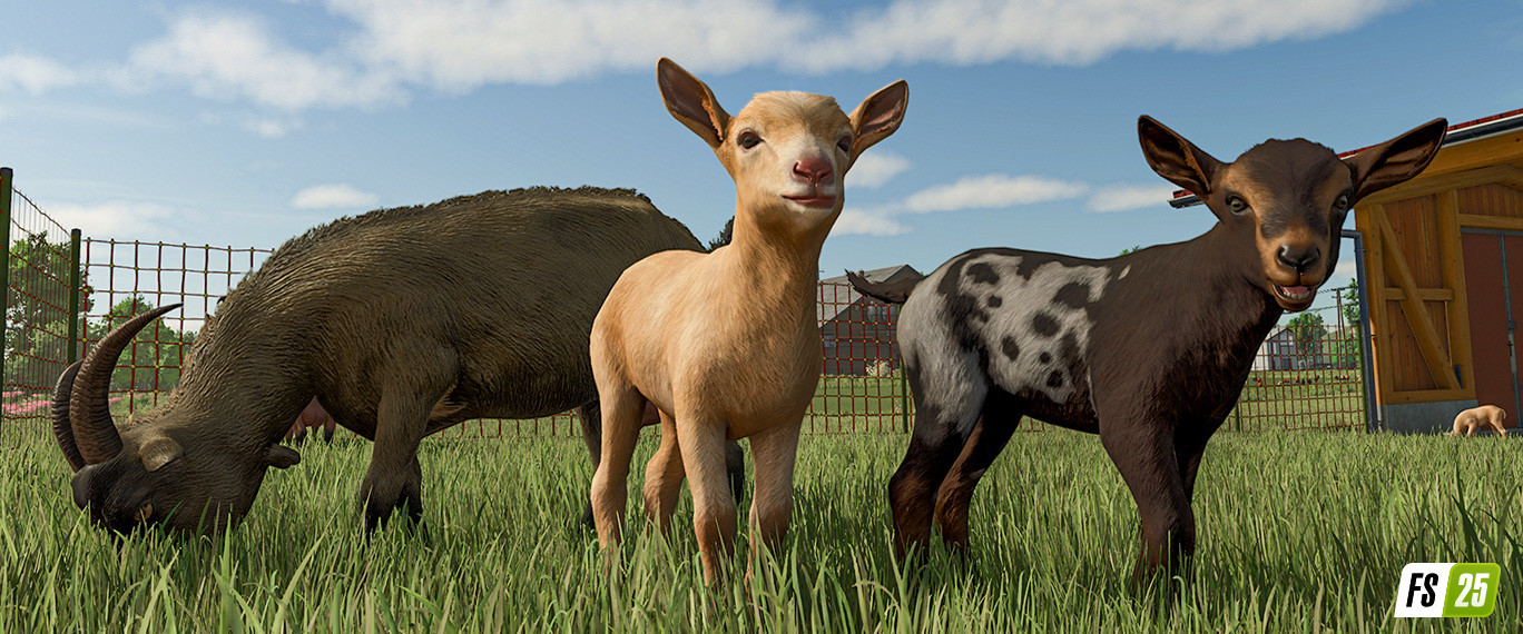 Farming Simulator 2025 Sistem Gereksinimleri